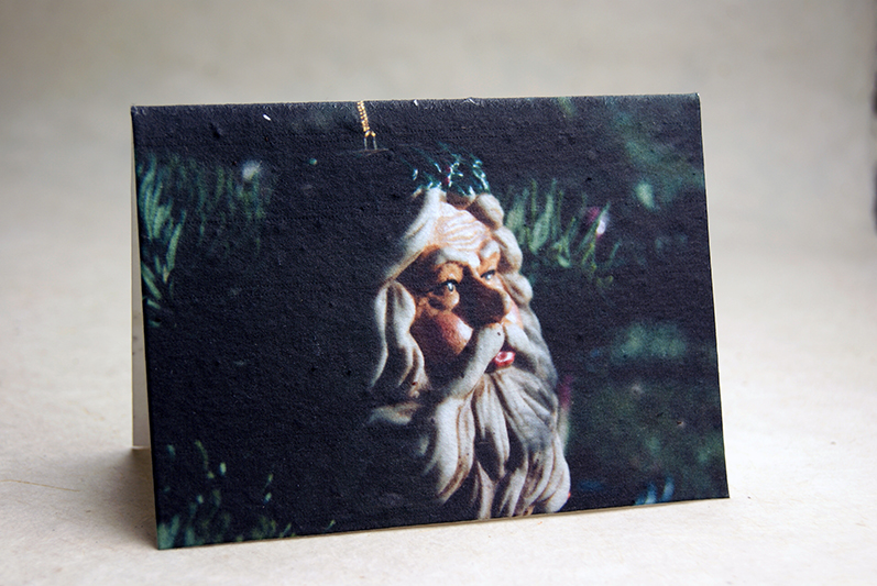 Holiday Cards - Handmade Cards - Pressed flower petals in the paper ...